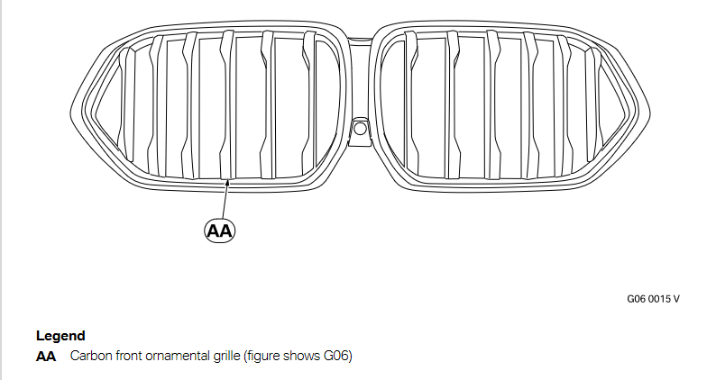 2022-2023 BMW X6 Bmw M Performance Carbon Fiber Front Grille 51-71-2 ...