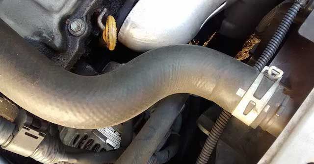 What Is A Radiator Hose And Why Is It Important? | Suburban Auto Parts Blog